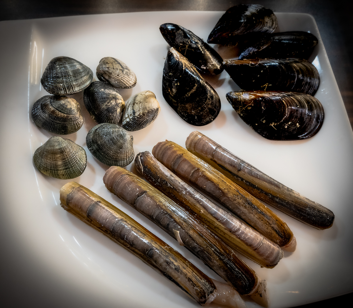 Muscheln - einfach delikat essen! - GenussTouren