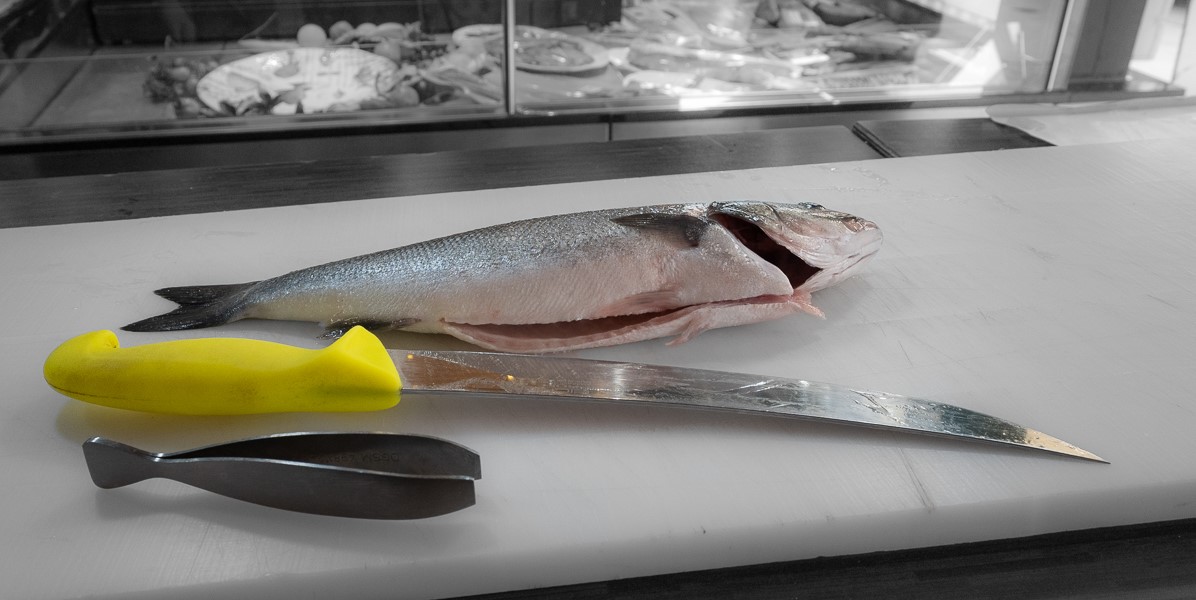 rohen Fisch filetieren leicht gemacht! - GenussTouren